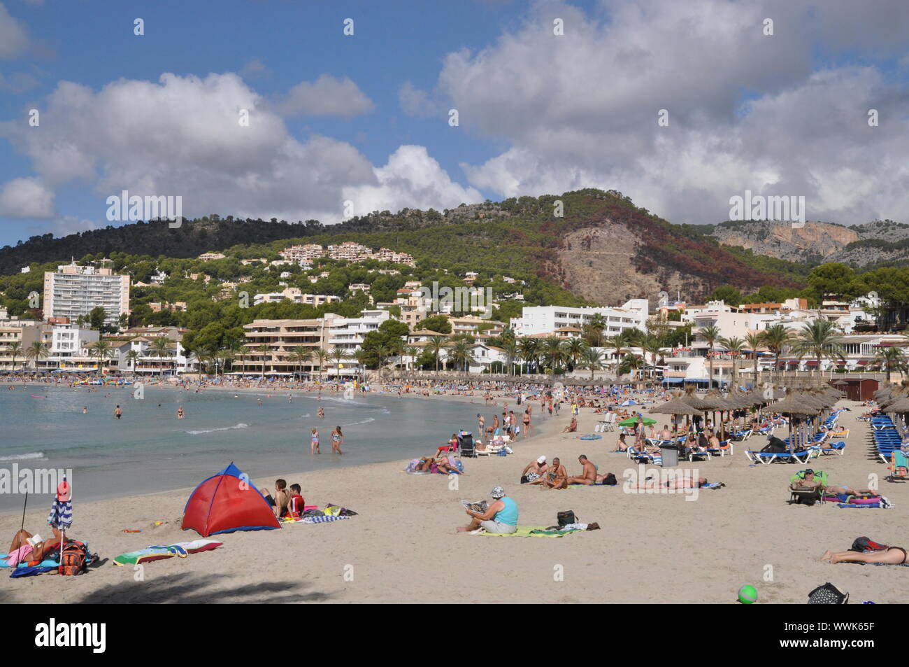 Paguera peguera -Fotos und -Bildmaterial in hoher Auflösung – Alamy