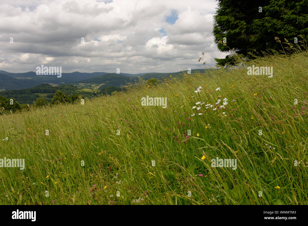 Die schwarzen berge -Fotos und -Bildmaterial in hoher Auflösung – Alamy