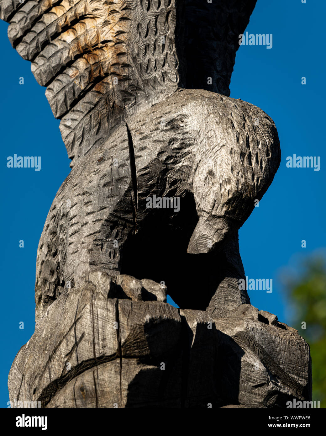 Aus holz geschnitzter adler -Fotos und -Bildmaterial in hoher Auflösung – Alamy