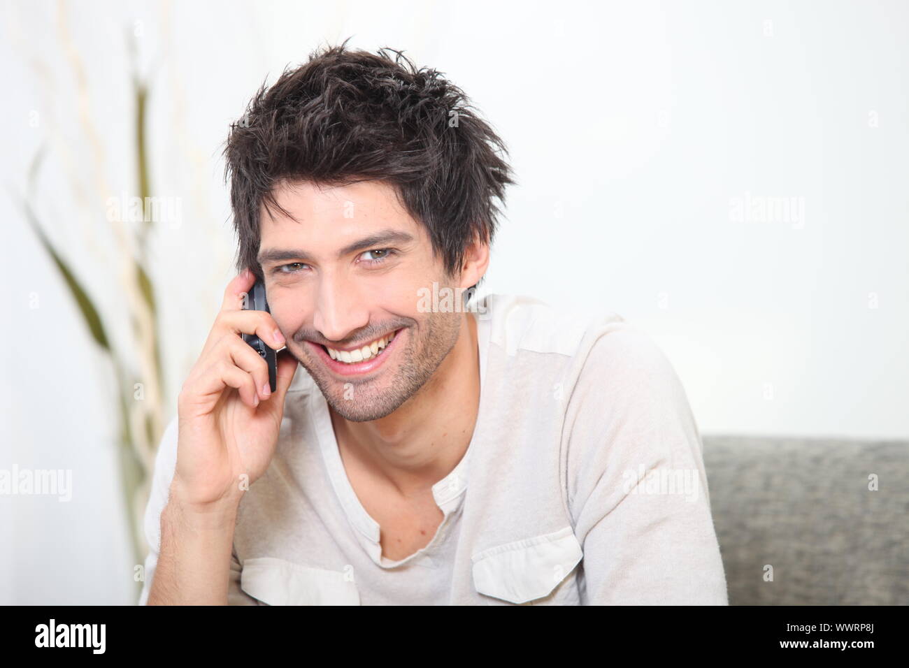 Schwarze spitzenohren -Fotos und -Bildmaterial in hoher Auflösung – Alamy