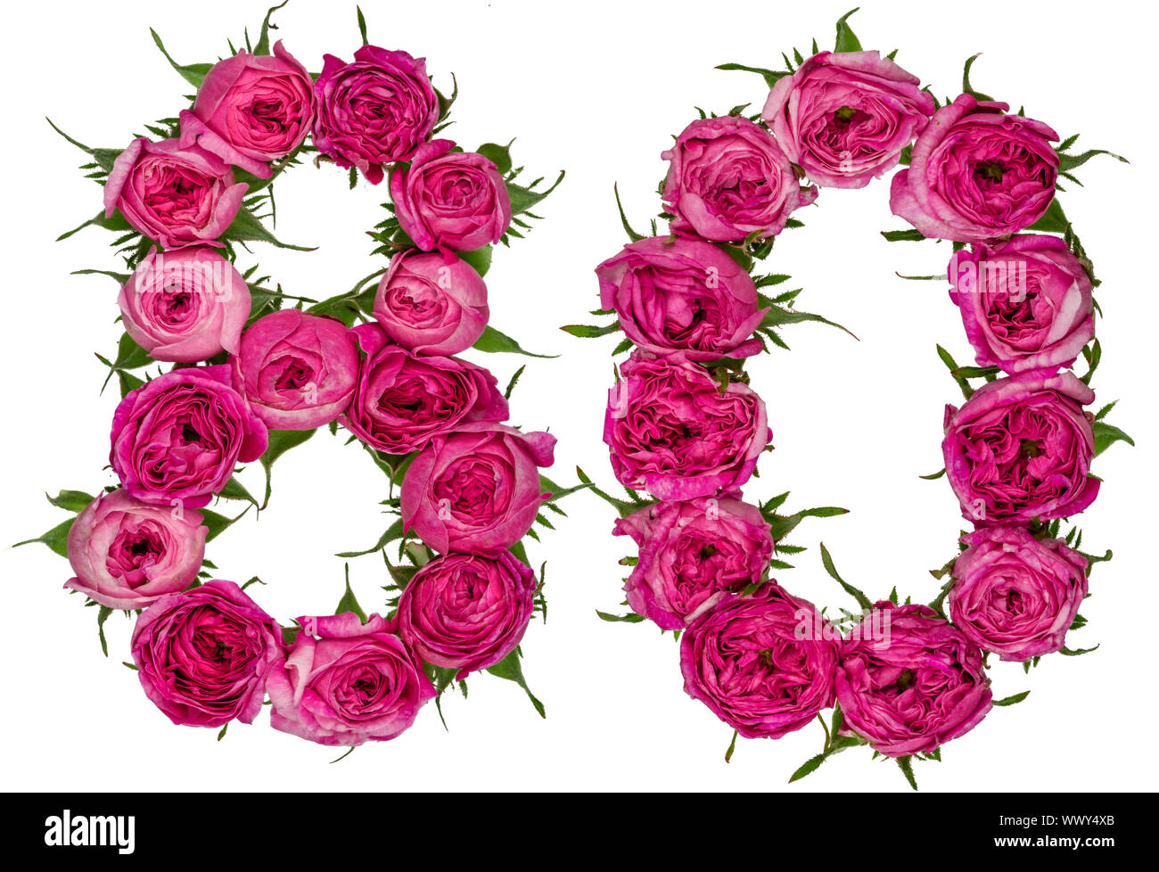 Number 80 flowers -Fotos und -Bildmaterial in hoher Auflösung – Alamy