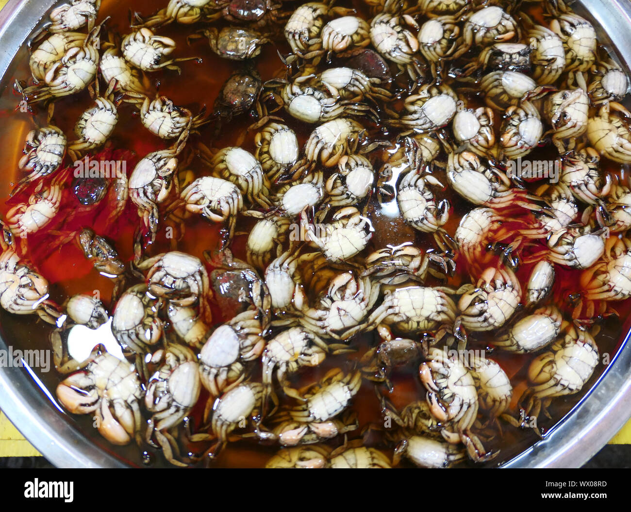 Essbare krabben -Fotos und -Bildmaterial in hoher Auflösung – Alamy