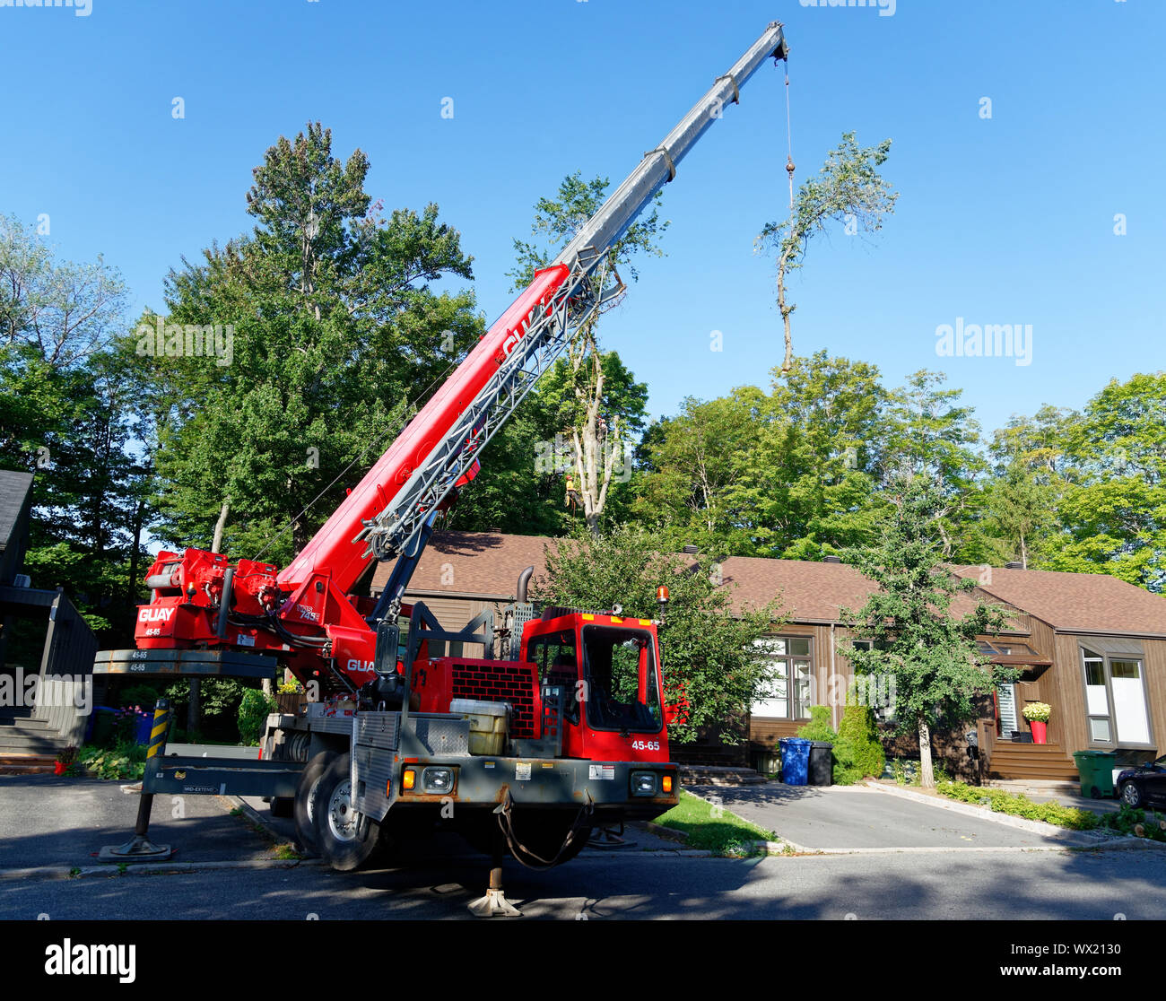 Ausgewachsenen baum entfernen -Fotos und -Bildmaterial in hoher ...