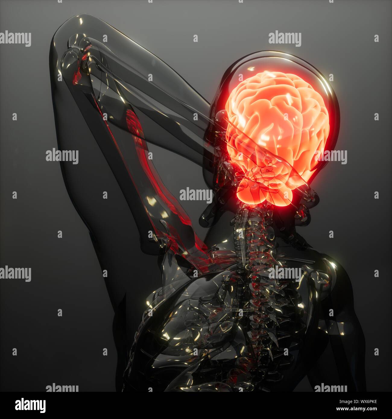 Ct scan gehirn gesund -Fotos und -Bildmaterial in hoher Auflösung – Alamy