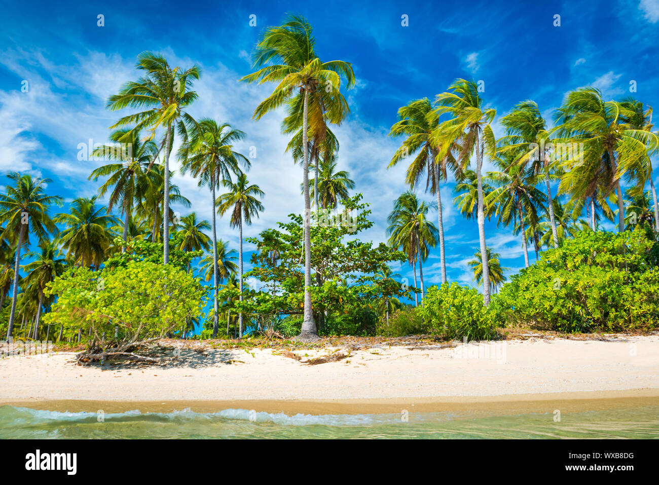 Strand bei tropische Insel mit Palmen Stockfotografie - Alamy