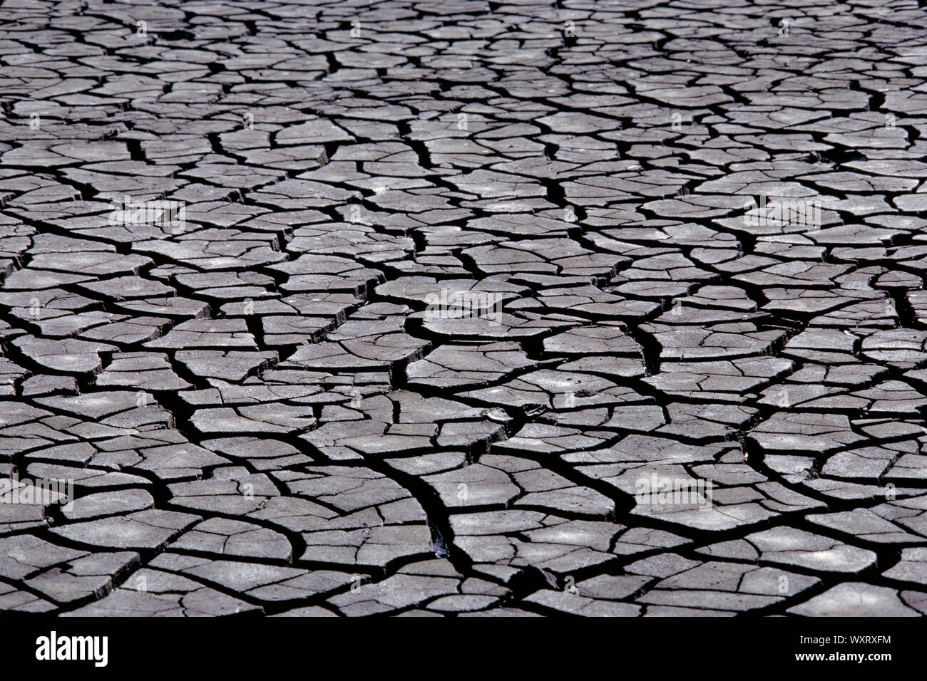 Ausgedörrte erde -Fotos und -Bildmaterial in hoher Auflösung – Alamy