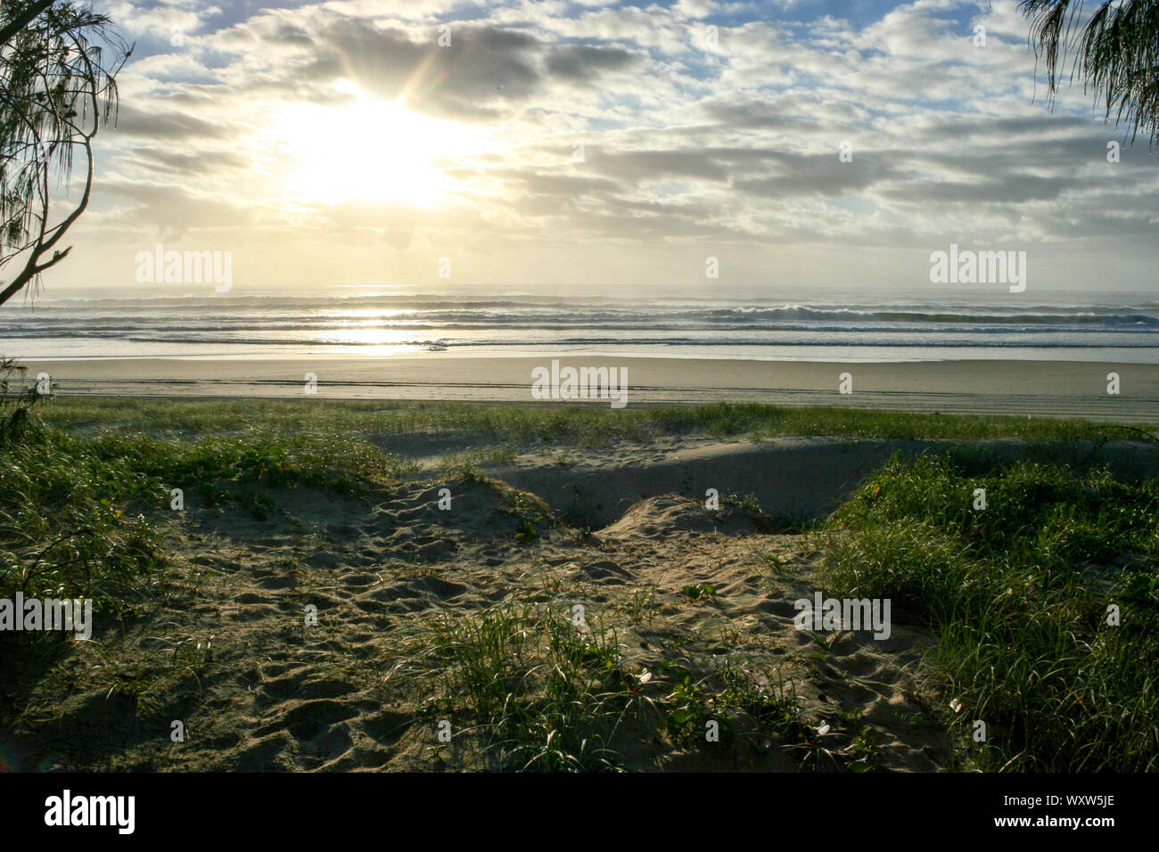 Camping in den Dünen von Fraser Island, Queensland, Australien, die ...