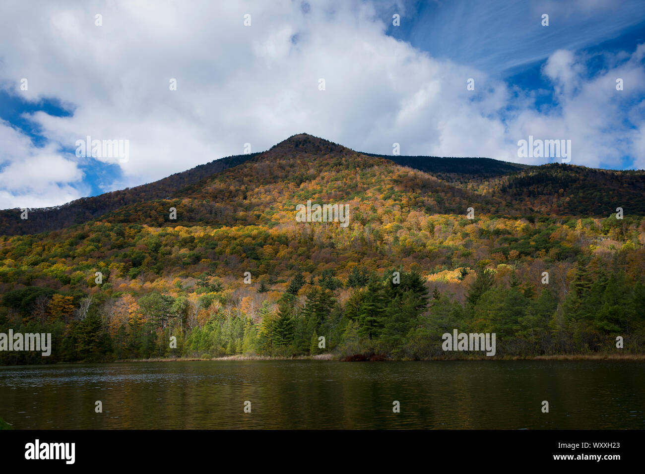 Manchester Forest Stockfotos und -bilder Kaufen - Alamy