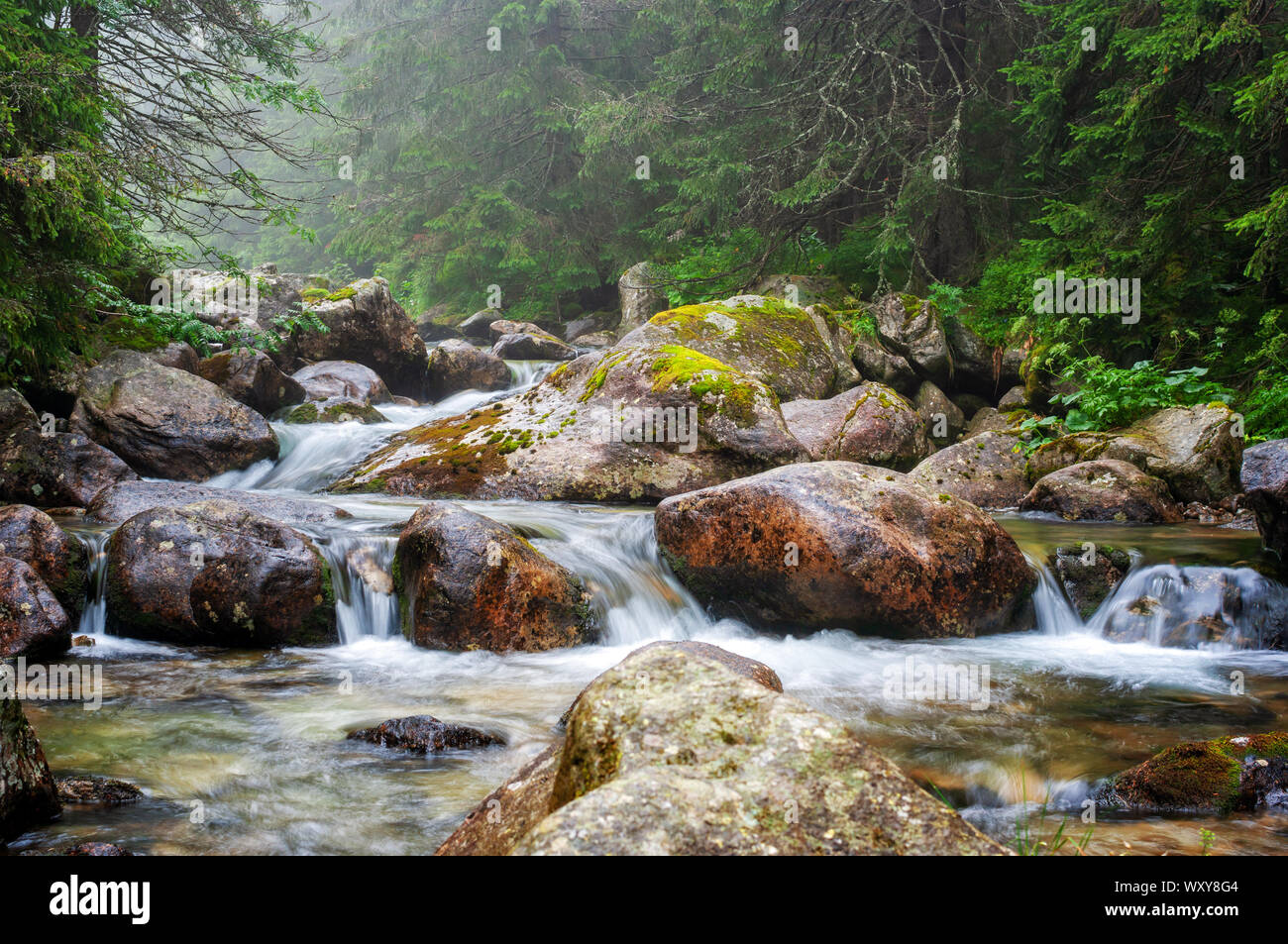 High tatras -Fotos und -Bildmaterial in hoher Auflösung – Alamy
