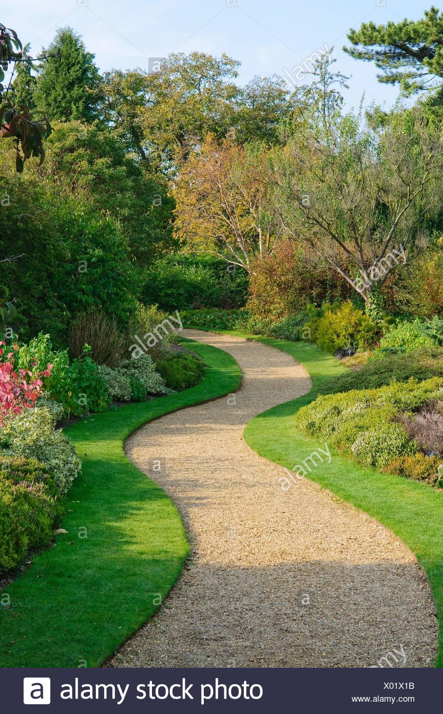 Kies Gartenpflanze Stockfotos und -bilder Kaufen - Alamy