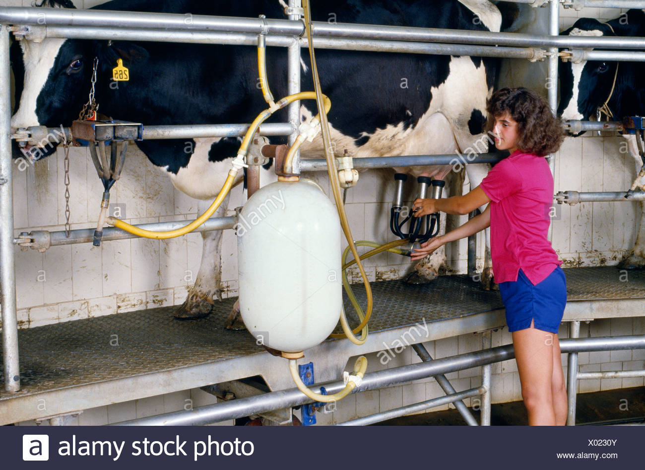 Milking Carousel Stockfotos & Milking Carousel Bilder - Alamy
