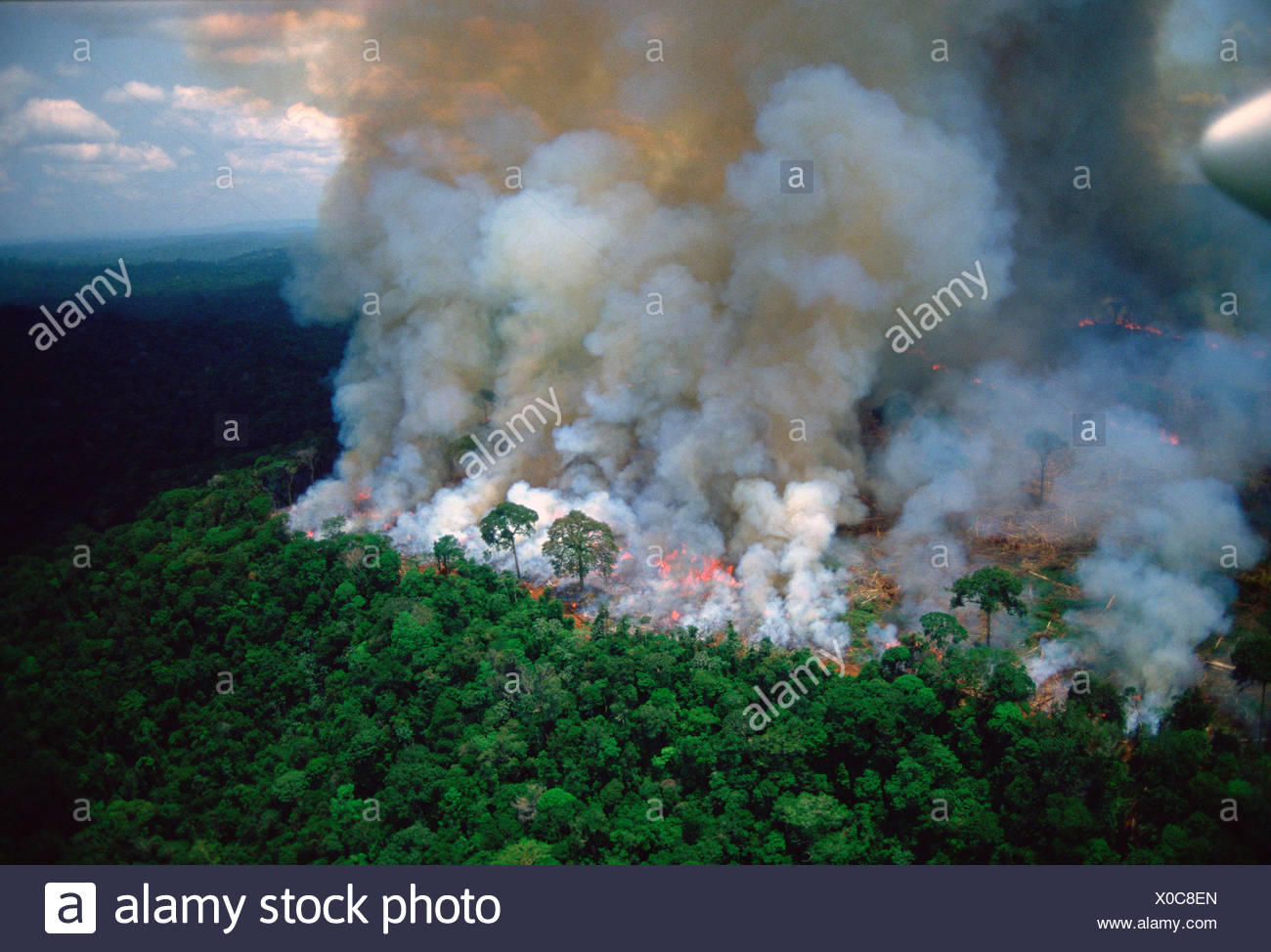 Amazonas Regenwald Feuer Stockfotos und -bilder Kaufen - Alamy