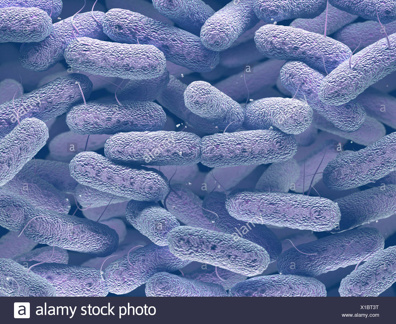 Pathogene Mikroorganismen Stockfotos und -bilder Kaufen - Alamy