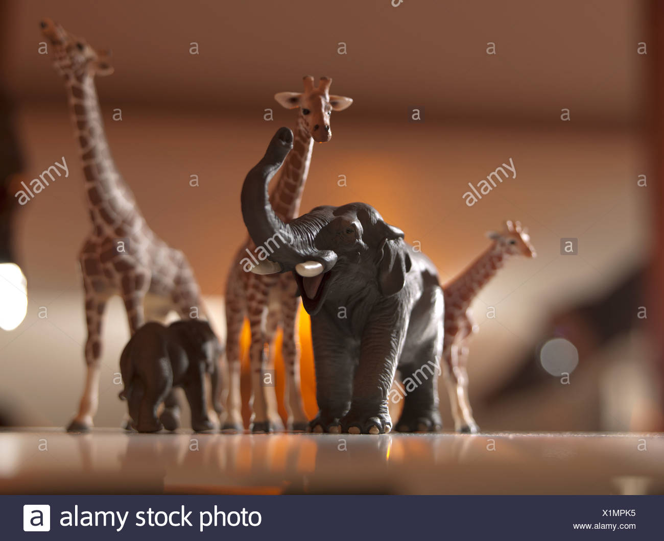 Vielfalt Tiere Stockfotos und -bilder Kaufen - Alamy