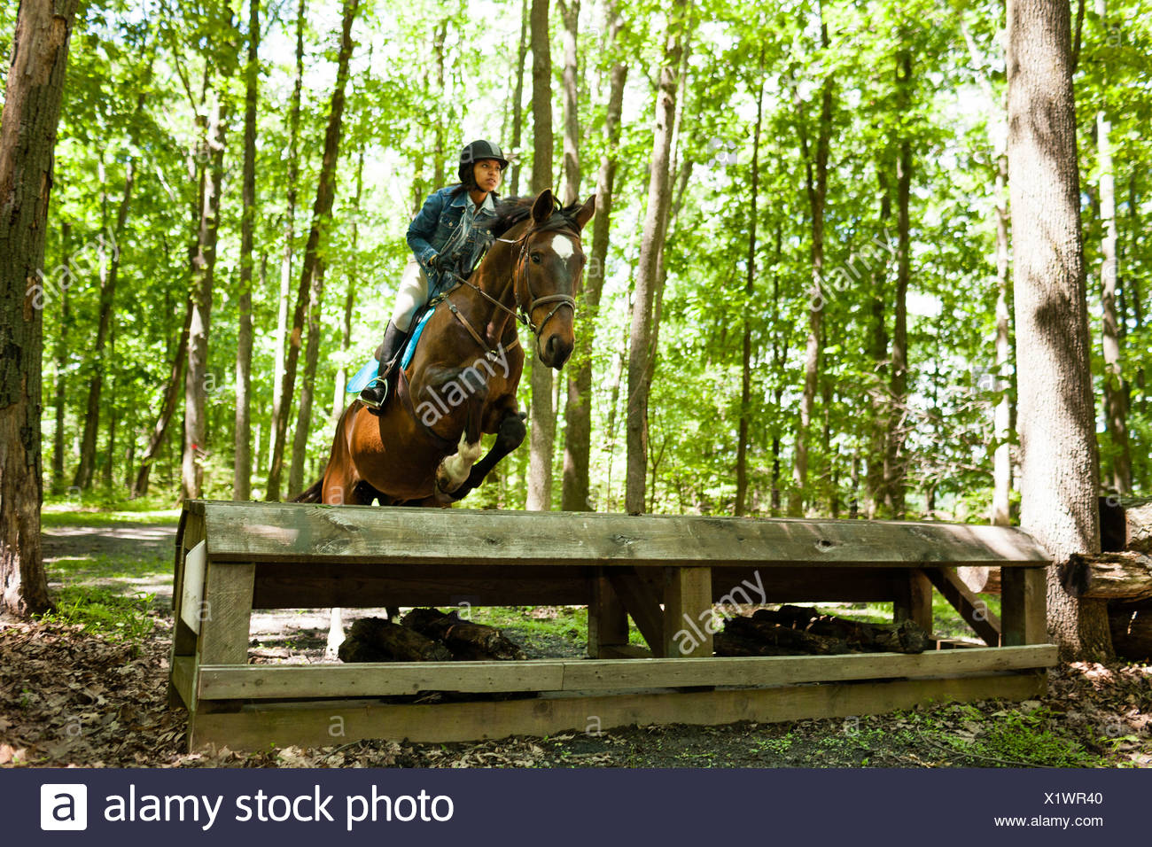 Springender Reiter Stockfotos und -bilder Kaufen - Alamy