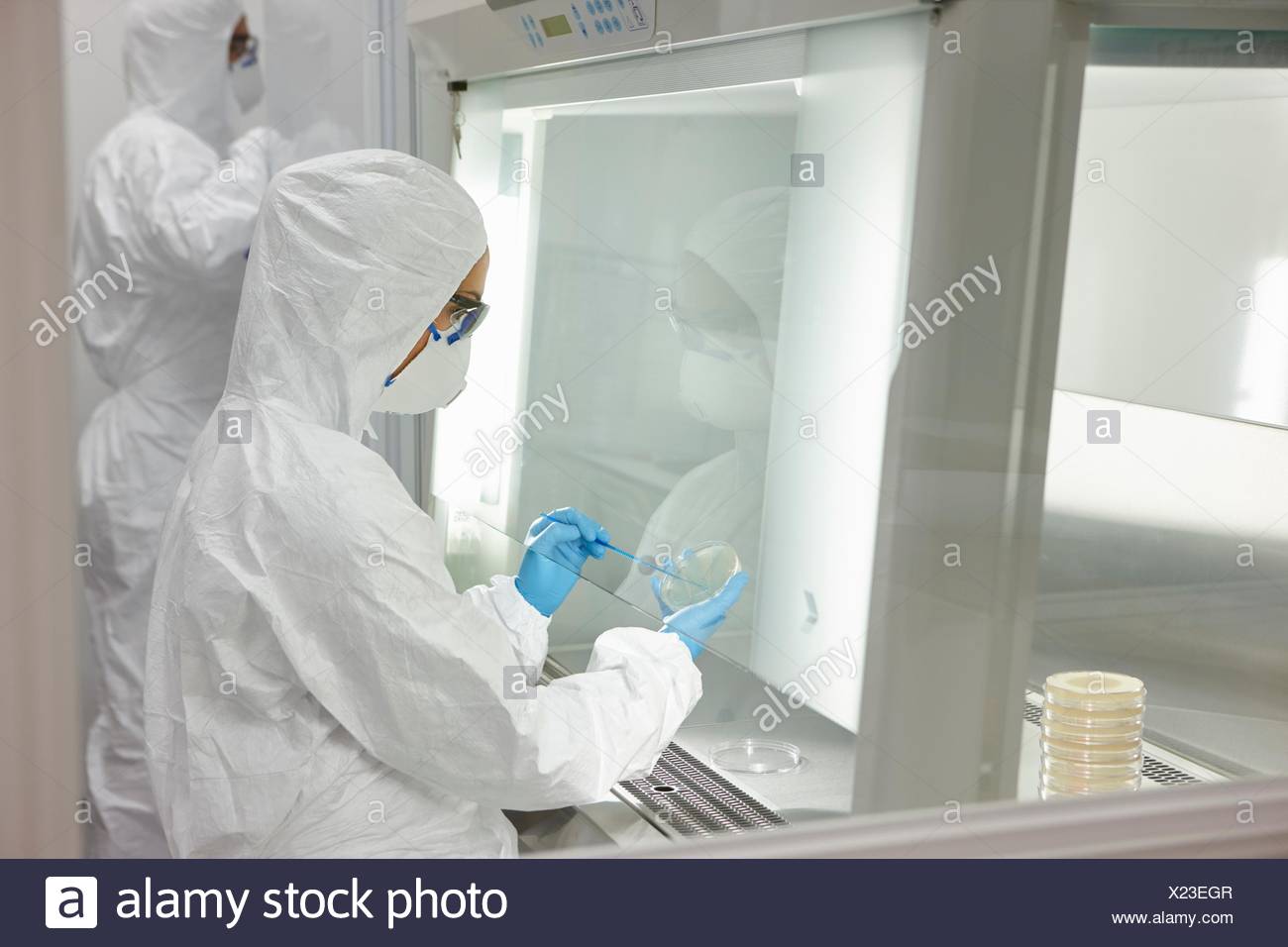 Im Labor Stockfotos und -bilder Kaufen - Alamy