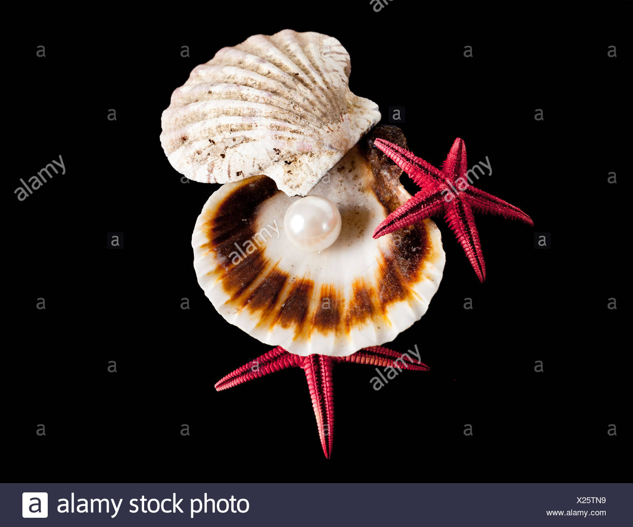 Mussel Silk Stockfotos und -bilder Kaufen - Alamy