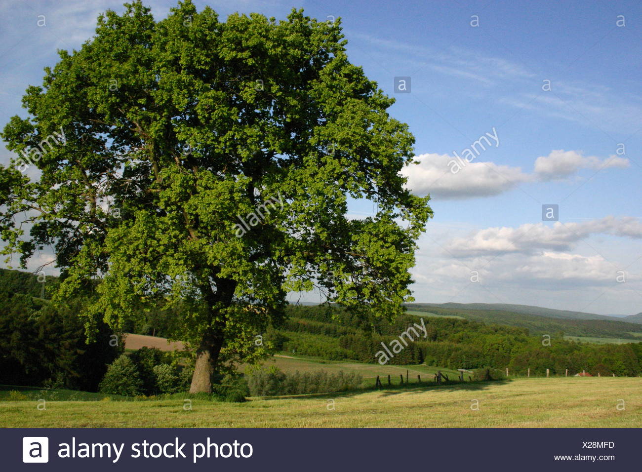 Nordlippisches Bergland Stockfotos und -bilder Kaufen - Alamy