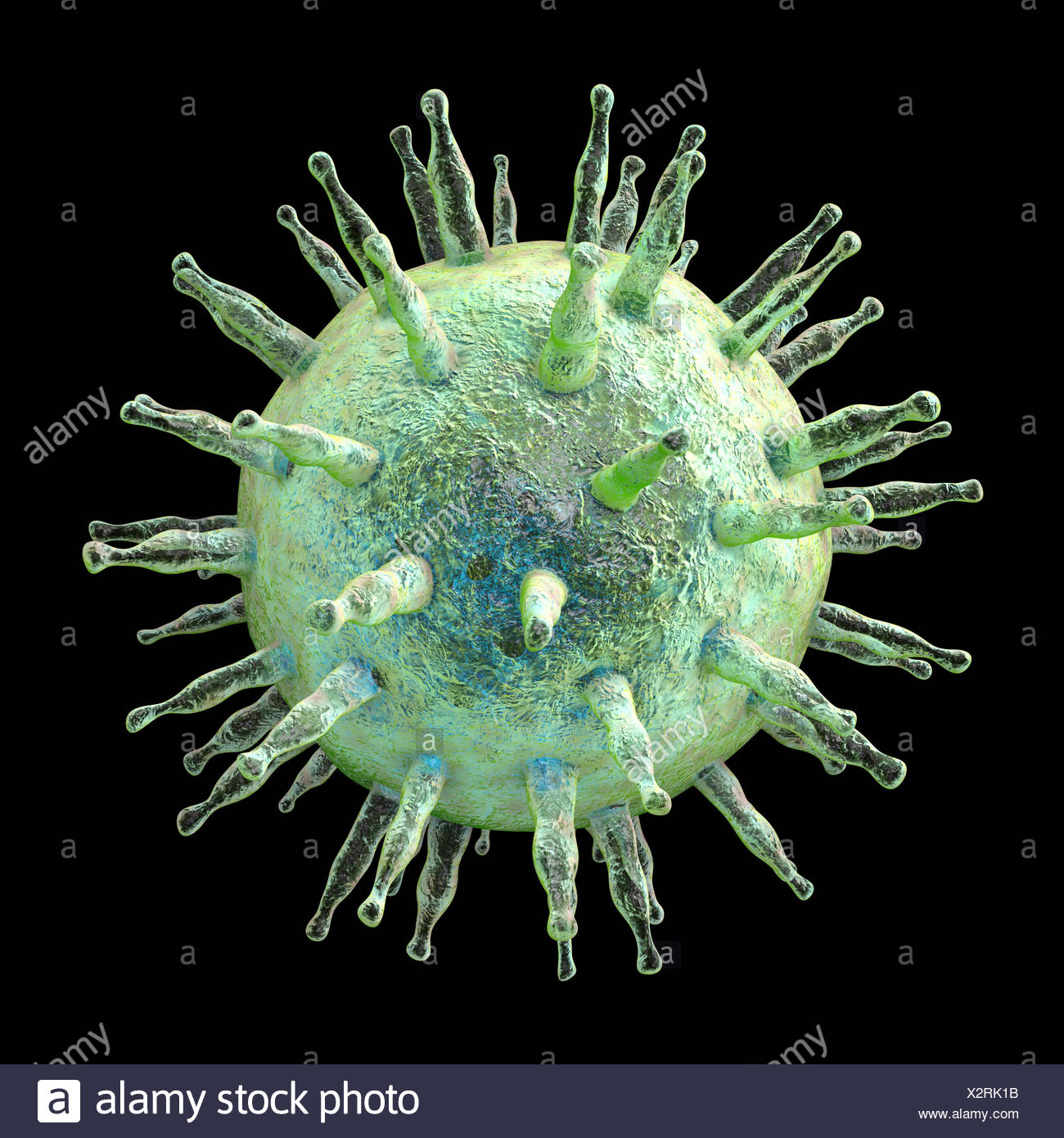 Glandular Fever Stockfotos & Glandular Fever Bilder - Alamy