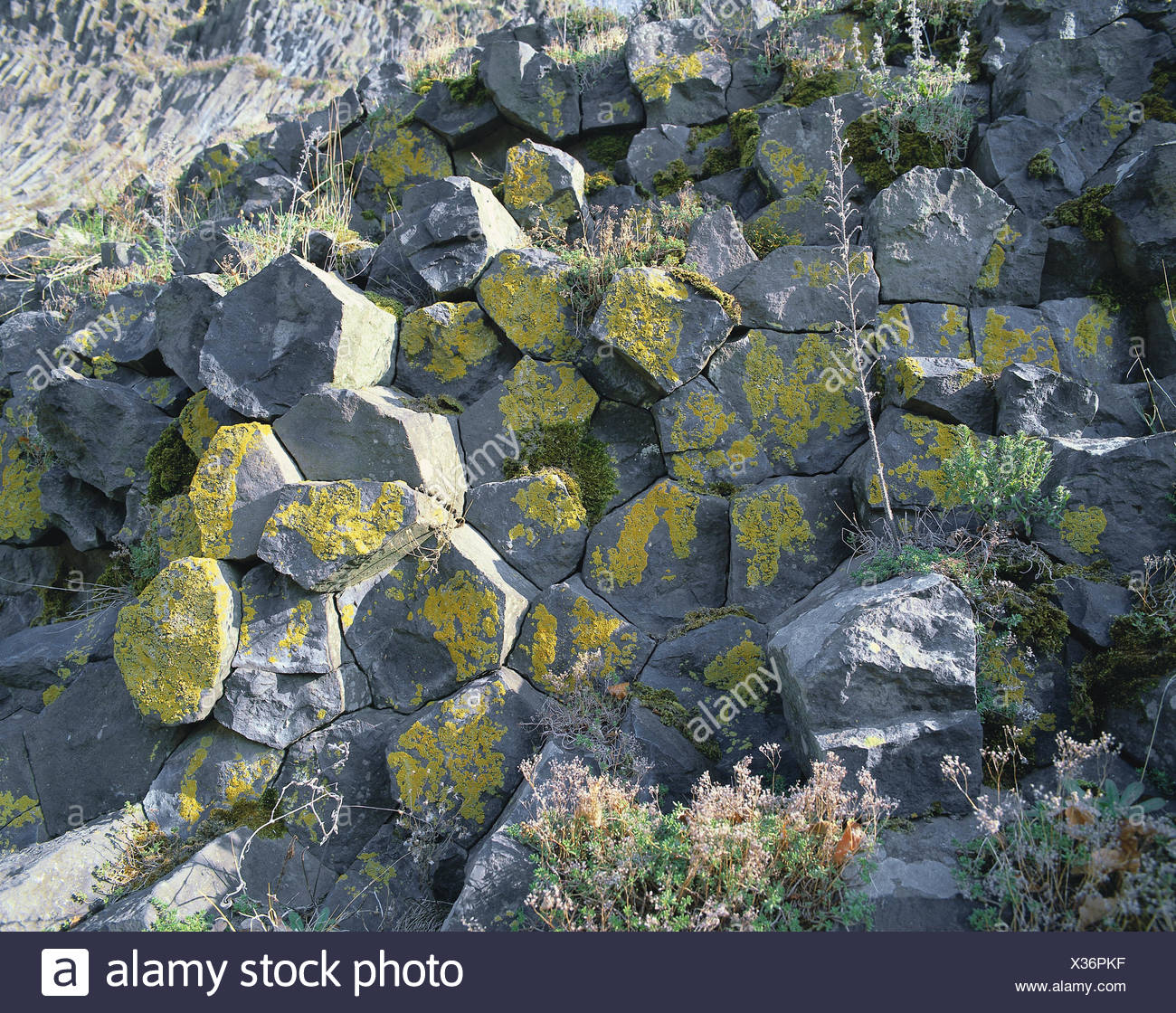 Pillars Of Basalt Stockfotos und -bilder Kaufen - Alamy