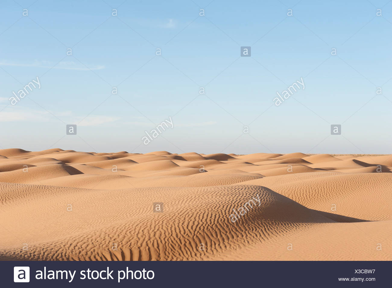 Wellige Welligkeit Markiert Sand Stockfotos und -bilder Kaufen - Alamy