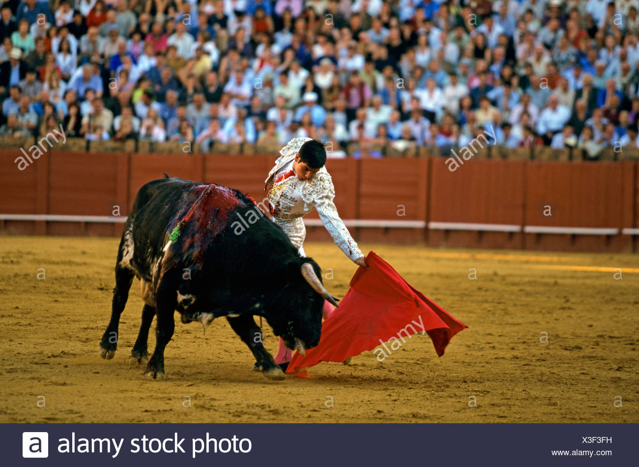Stierkampf Mit Stockfotos und -bilder Kaufen - Alamy