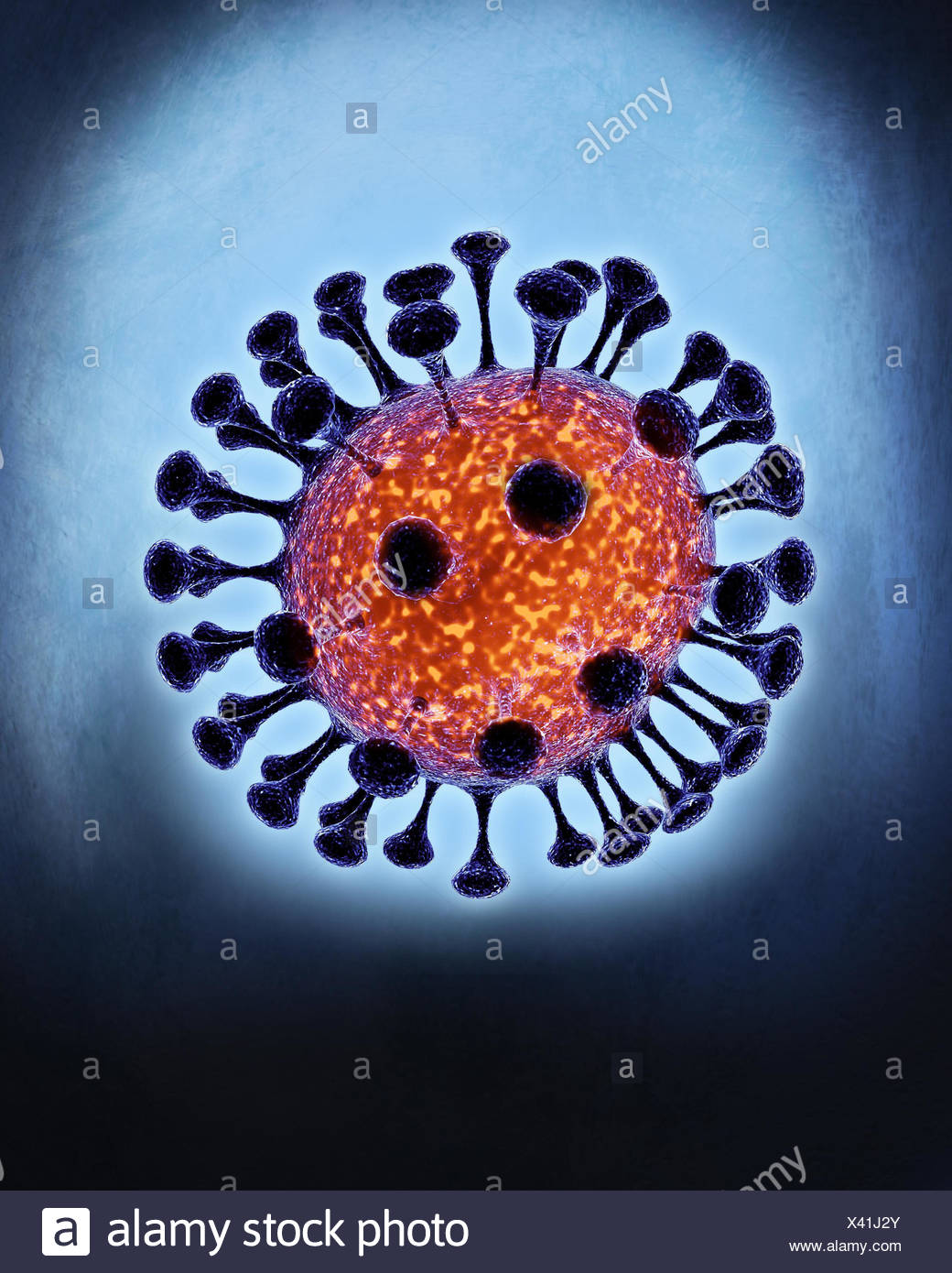 Coronavirus Infection Pathogen Sars Stockfotos & Coronavirus Infection ...