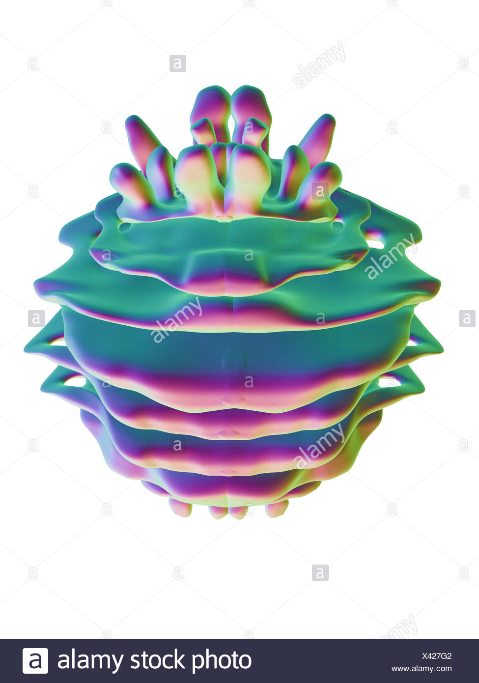 Golgi Apparatus Stockfotos und -bilder Kaufen - Alamy