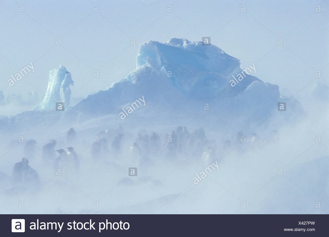 Lambert Glacier Stockfotos und -bilder Kaufen - Alamy
