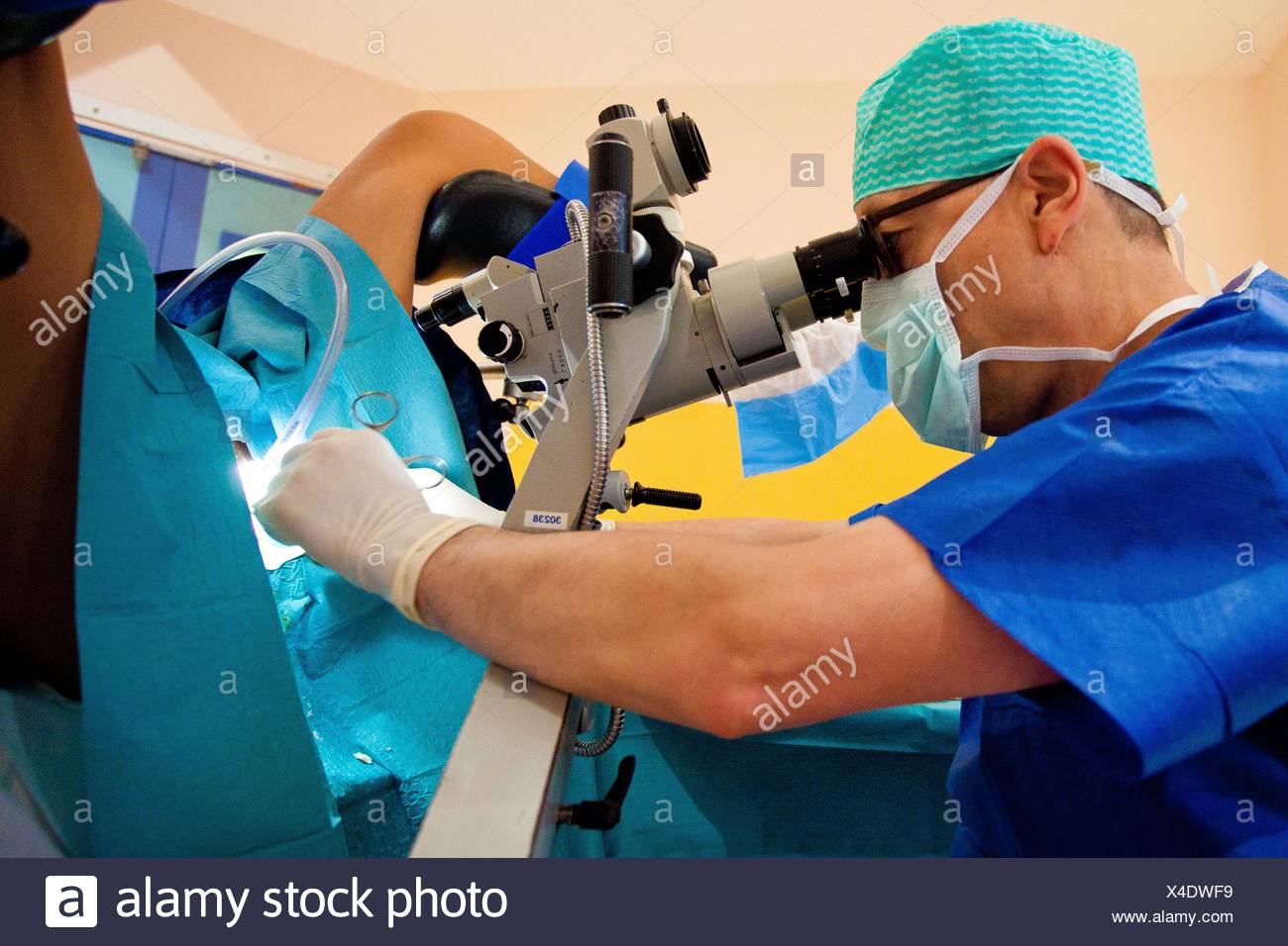 Uterus And Cervix Stockfotos und -bilder Kaufen - Alamy