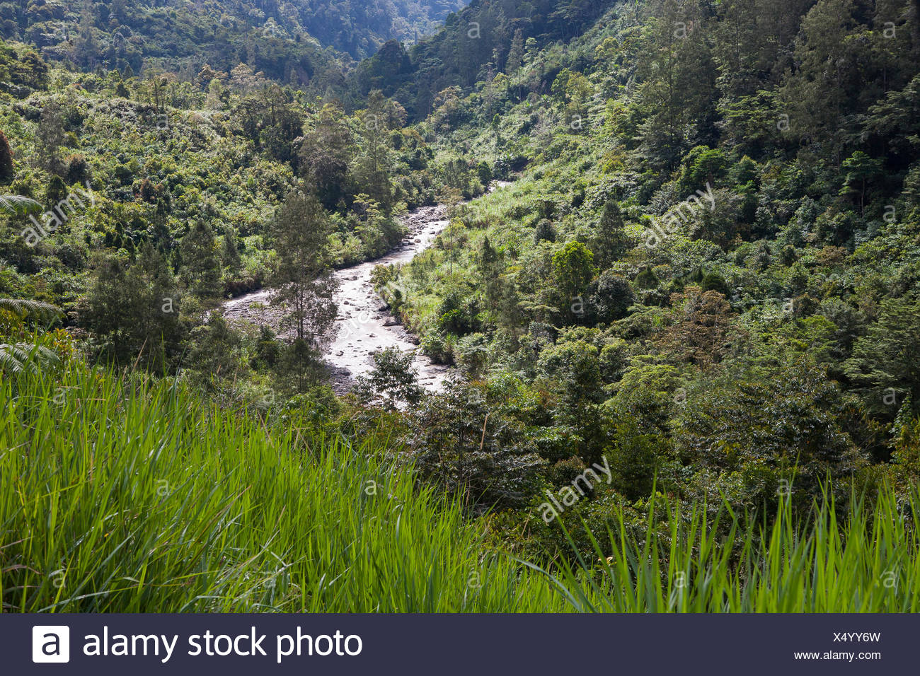Sepik People Of Papua New Guinea Stockfotos und -bilder Kaufen - Alamy