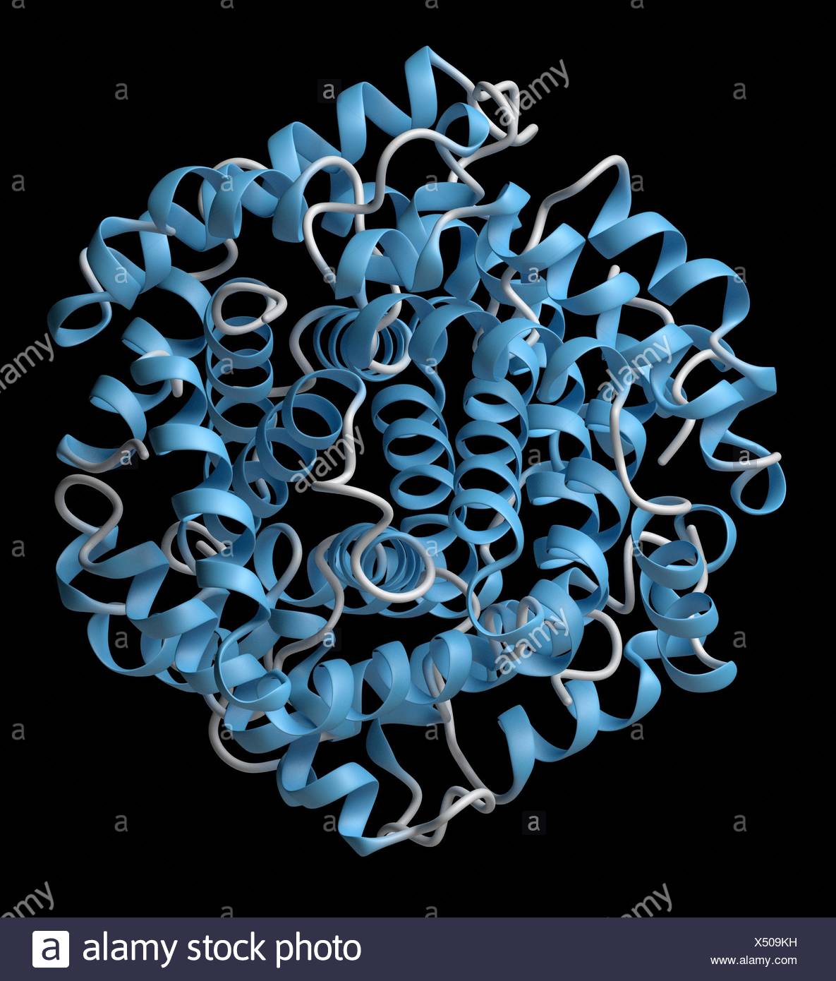 Hemoglobin Molecule Stockfotos & Hemoglobin Molecule Bilder - Alamy