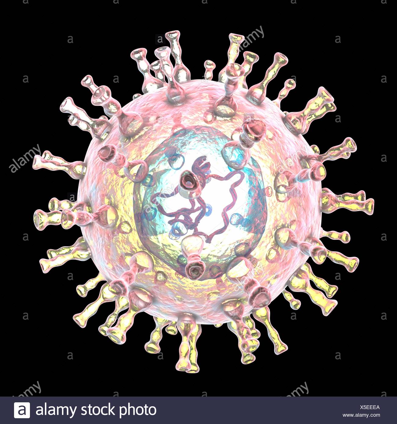 Herpes Zoster Virus Stockfotos und -bilder Kaufen - Seite 2 - Alamy