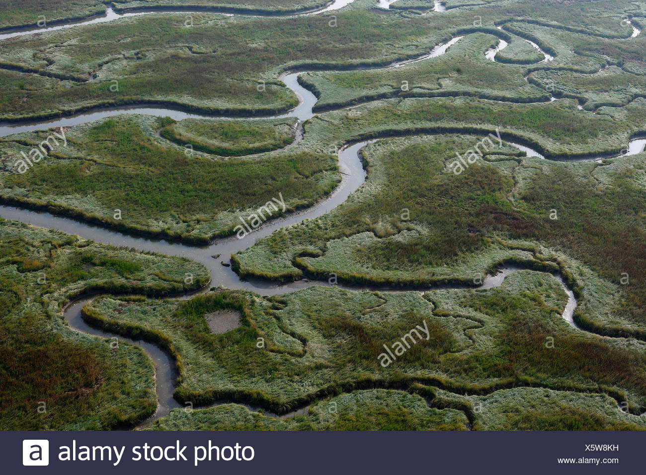 Fluss Delta Stockfotos und -bilder Kaufen - Alamy