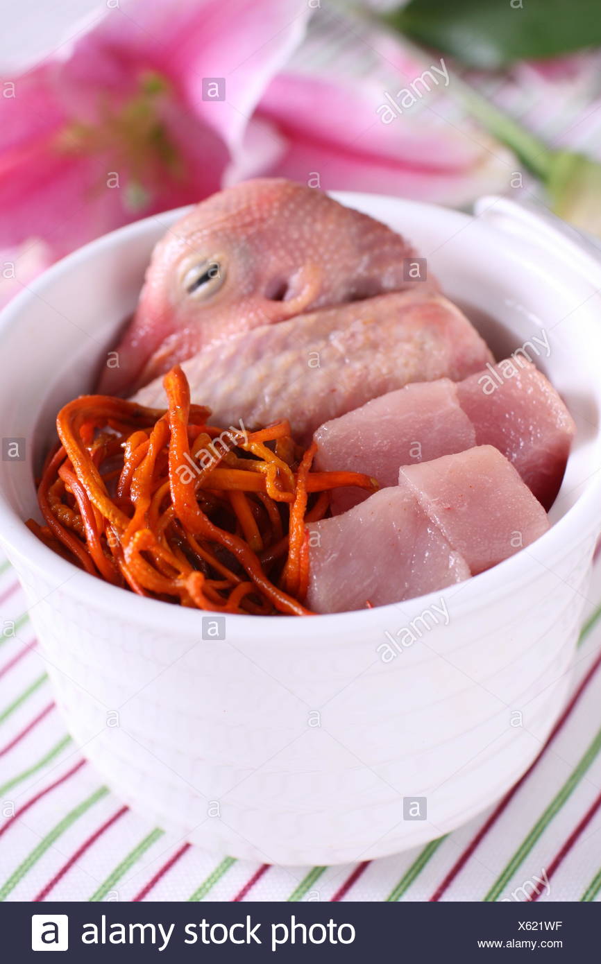 Stewed Pigeon Meat Stockfotos & Stewed Pigeon Meat Bilder - Alamy