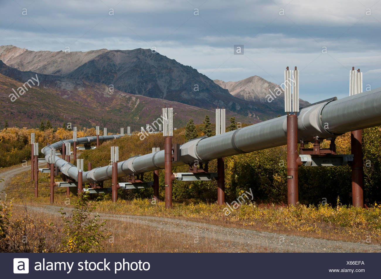 Alaska Alaska Oil Pipeline Near Stockfotos und -bilder Kaufen - Alamy