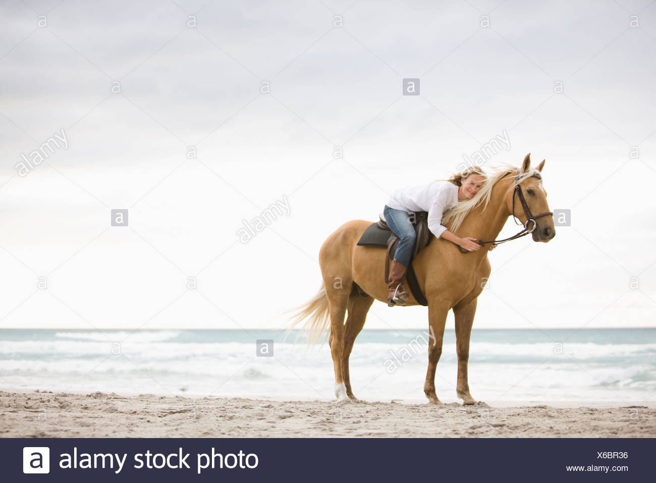 Pferd und Reiter Am Strand Stockfotos und -bilder Kaufen - Alamy