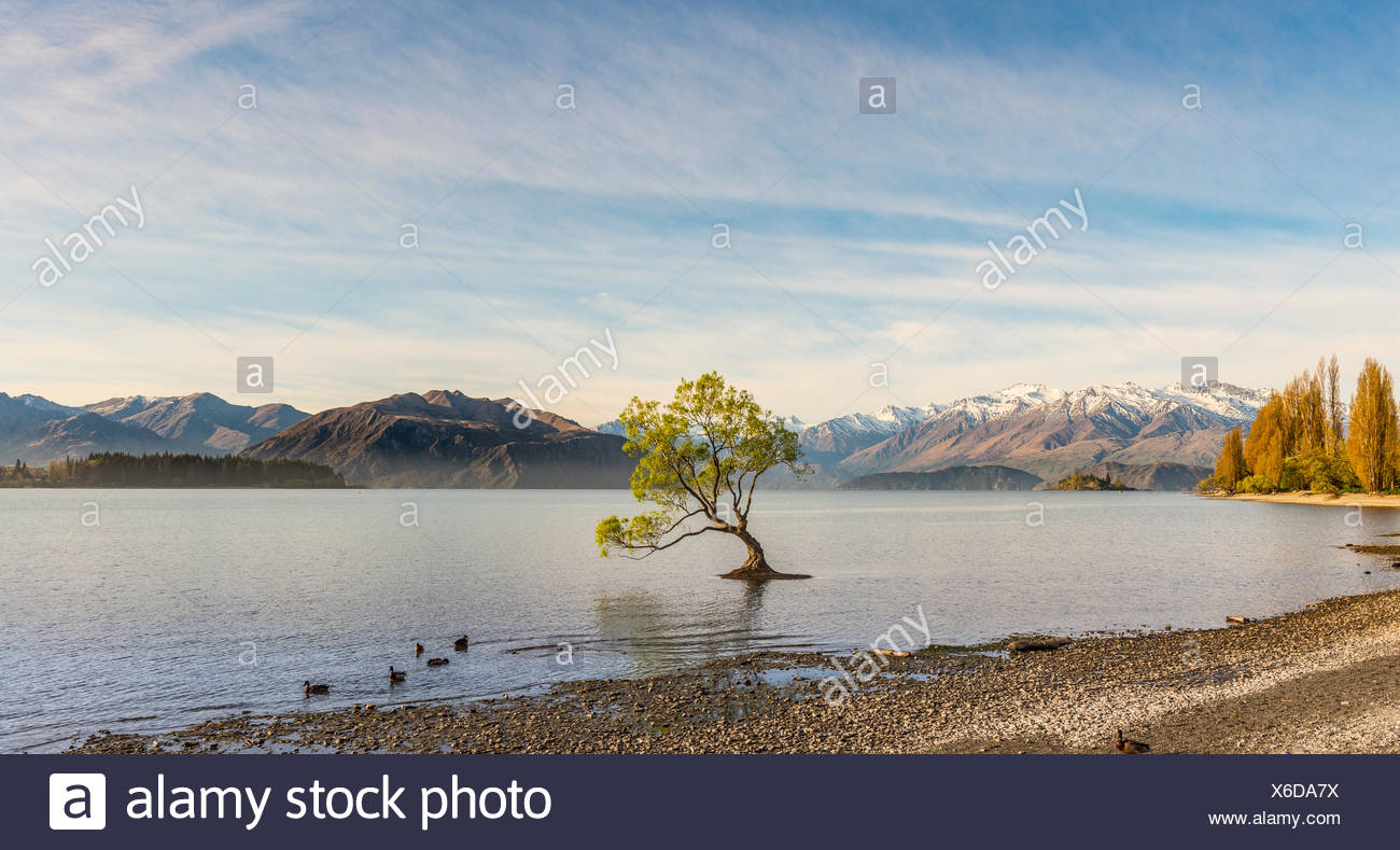 Wanaka Otago Stockfotos und -bilder Kaufen - Alamy