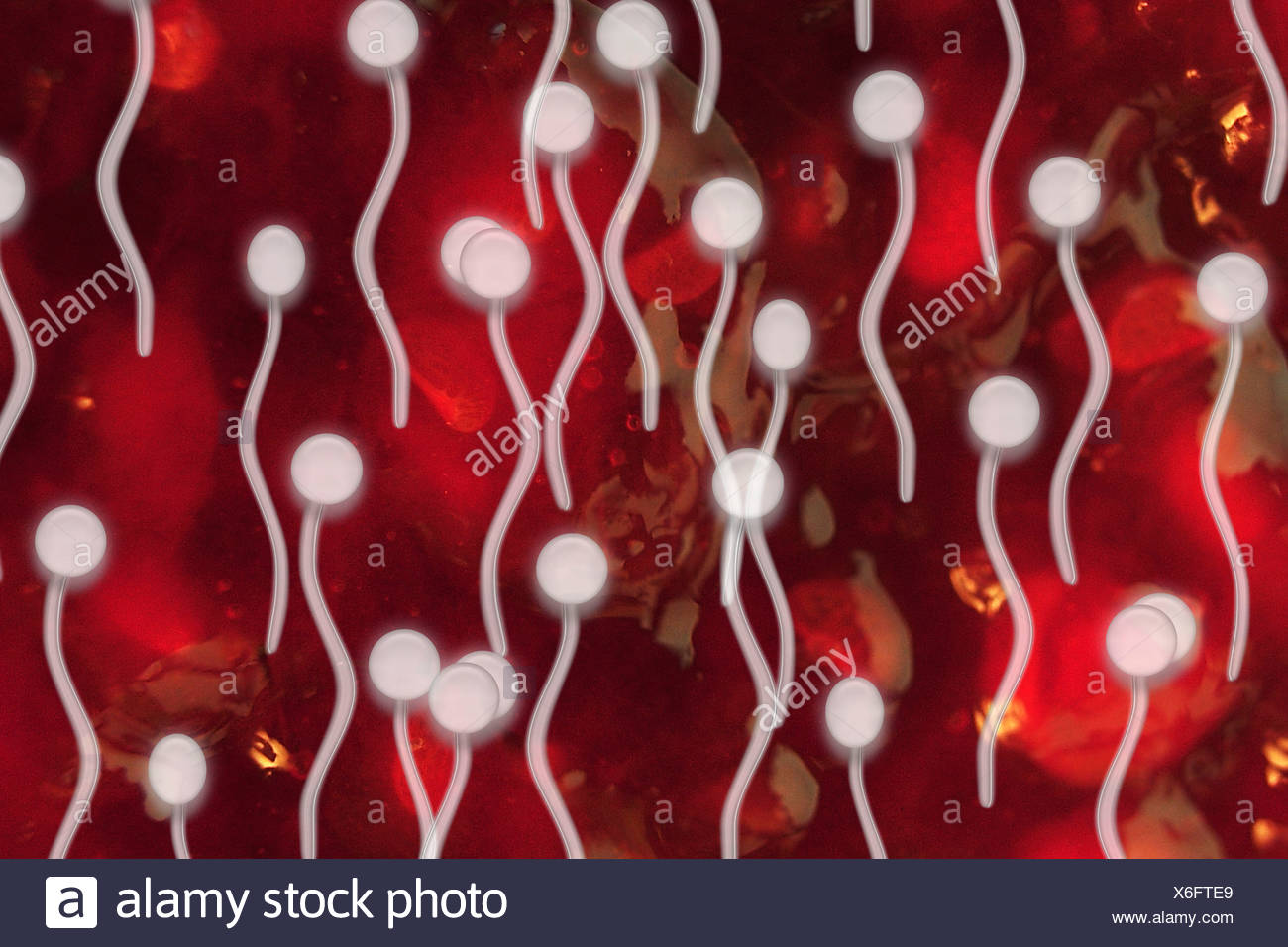 Yeast Cells Stockfotos & Yeast Cells Bilder - Alamy