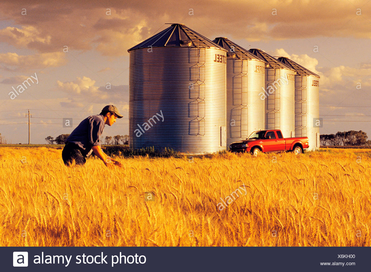 Ein Bauer In Einem Reifen Stockfotos und -bilder Kaufen - Alamy