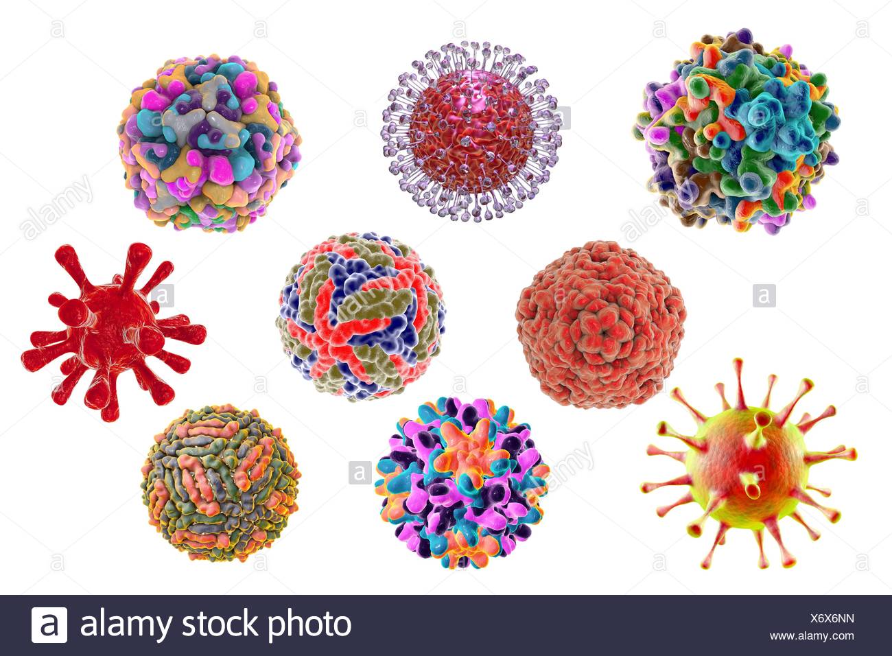 Pathogenic Viruses Stockfotos & Pathogenic Viruses Bilder - Alamy