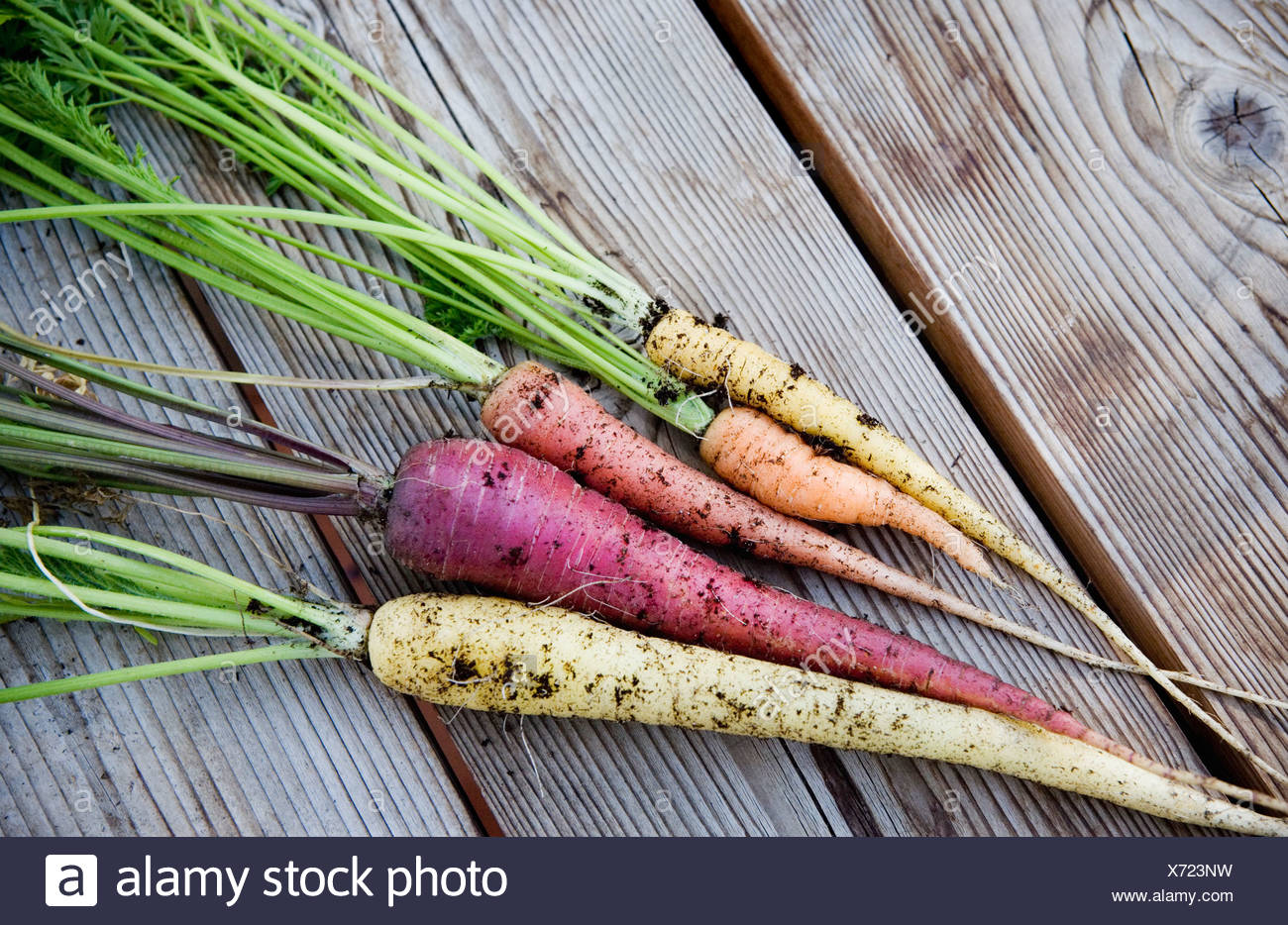Purple Carrots Stockfotos und -bilder Kaufen - Seite 2 - Alamy
