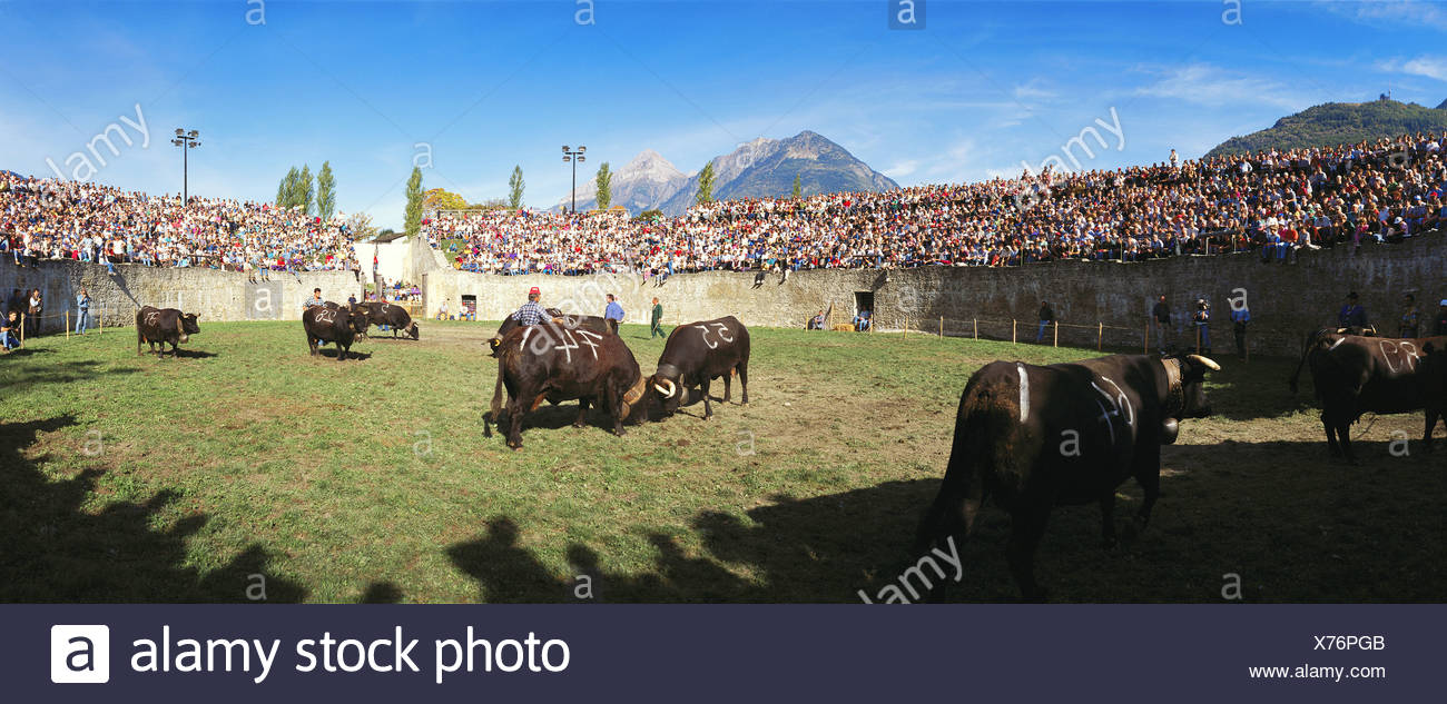 Schlacht Des Kantons Stockfotos und -bilder Kaufen - Alamy