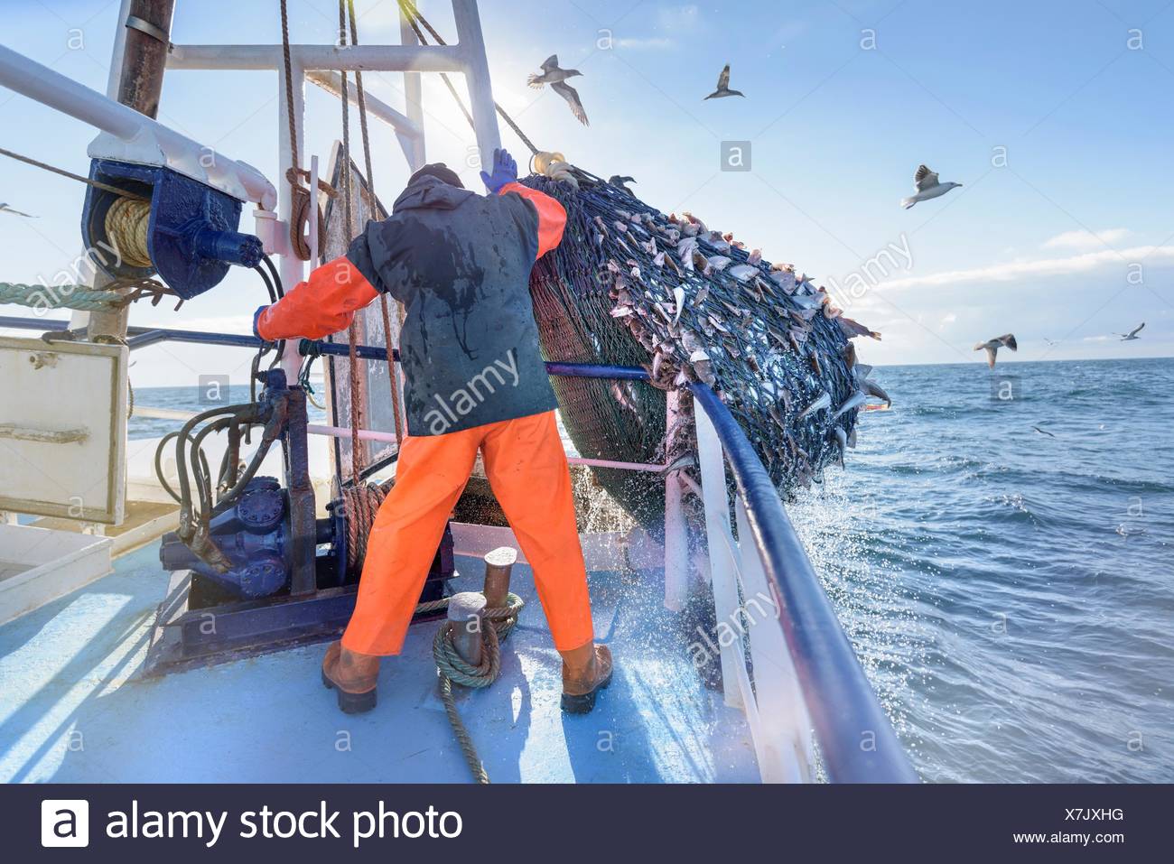 Fish Trawler Net Full Stockfotos und -bilder Kaufen - Alamy