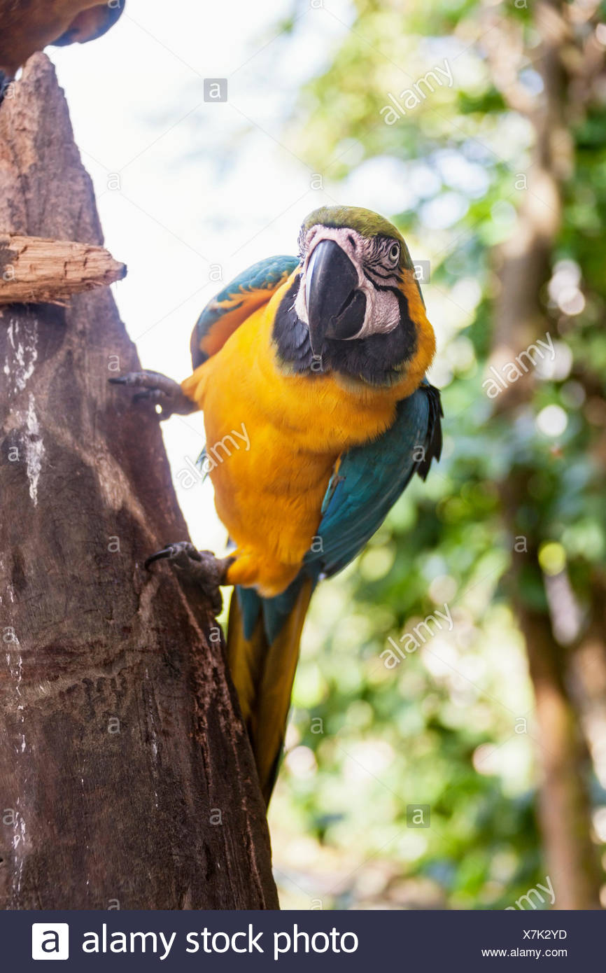 Nicht Spicken Stockfotos und -bilder Kaufen - Alamy