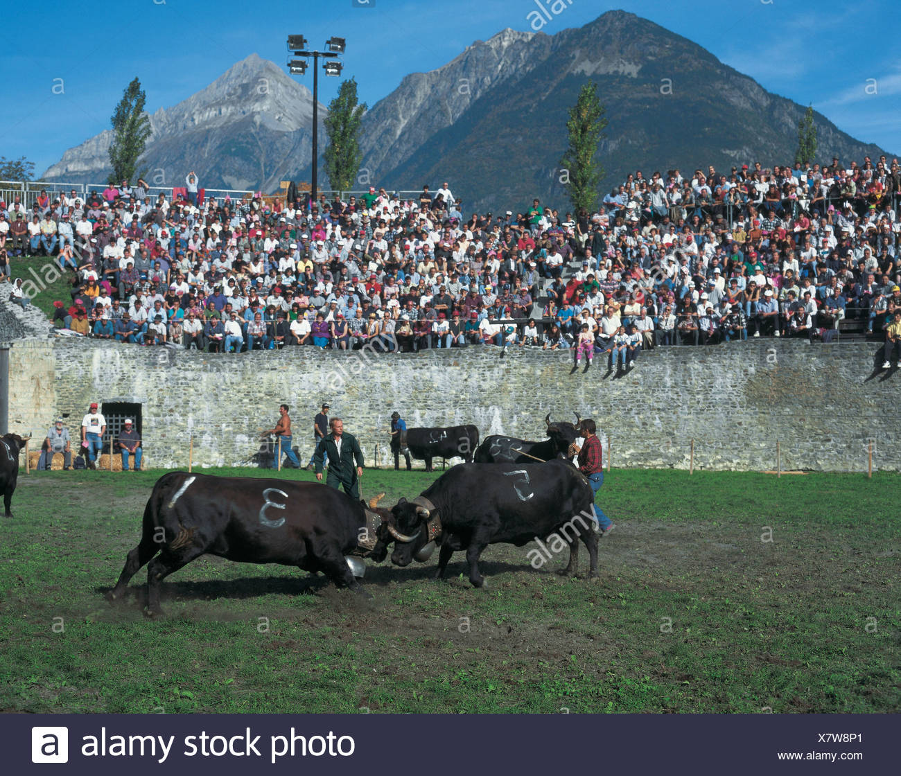 Schlacht Des Kantons Stockfotos und -bilder Kaufen - Alamy