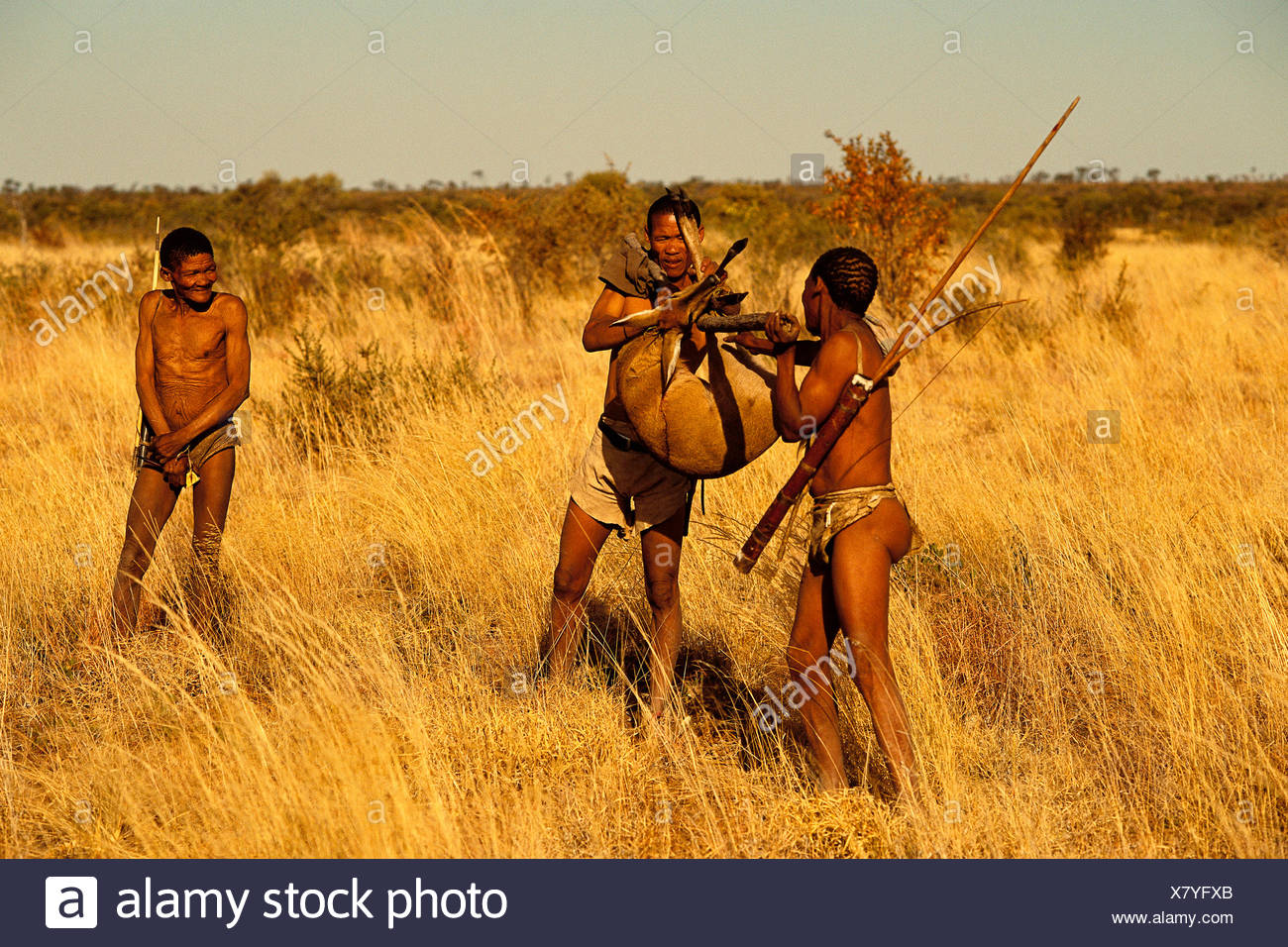 Kalahari Bushmen Hunting Stockfotos und -bilder Kaufen - Seite 2 - Alamy