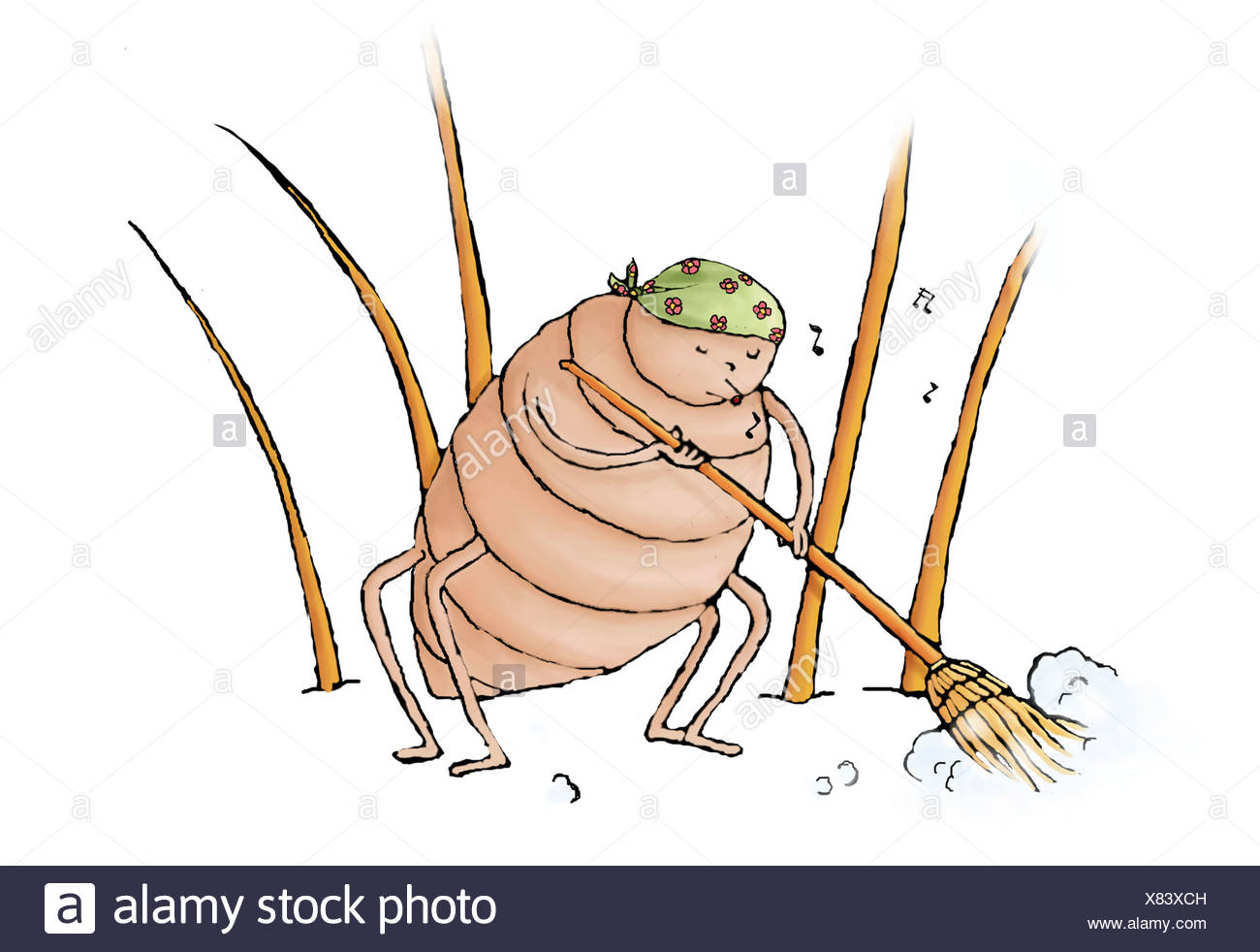 Louse Drawing Stockfotos und -bilder Kaufen - Alamy
