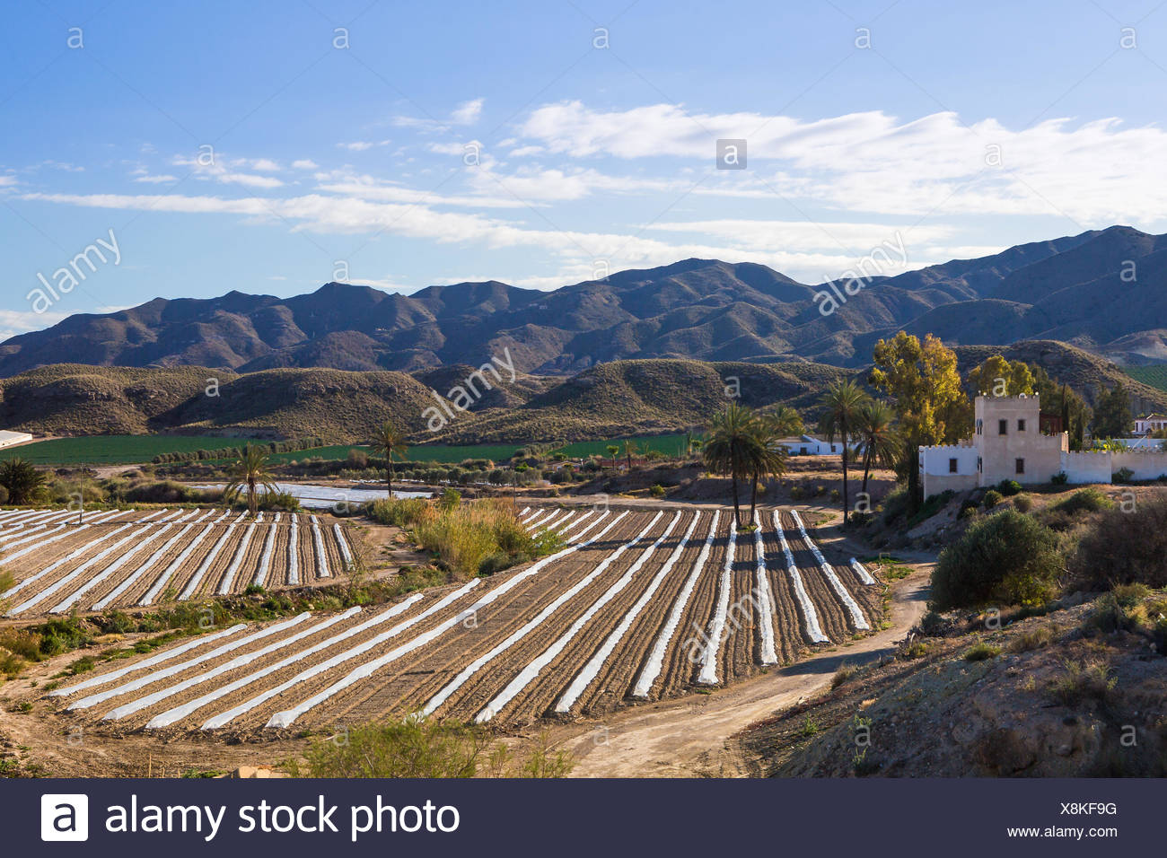Almeria Spain Agriculture Province Stockfotos und -bilder Kaufen - Alamy