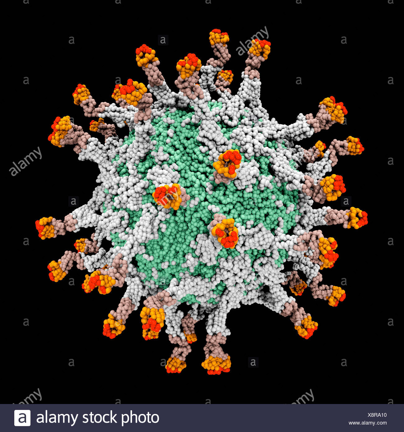 Polio Virus Stockfotos und -bilder Kaufen - Alamy